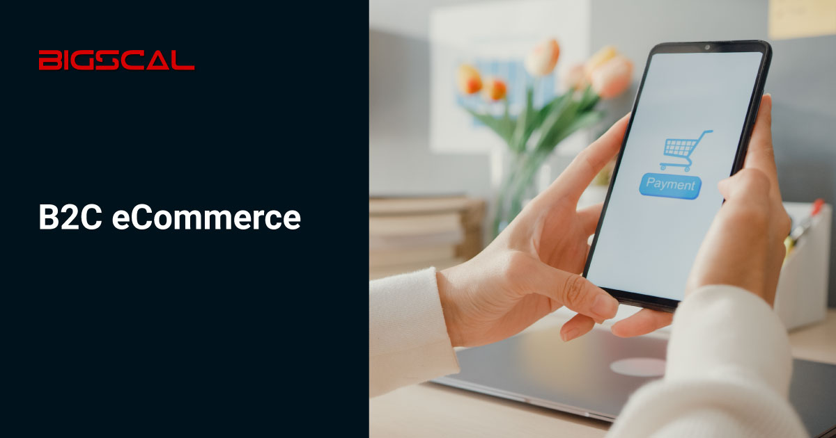 B2C eCommerce with Bigscal - What to Expect