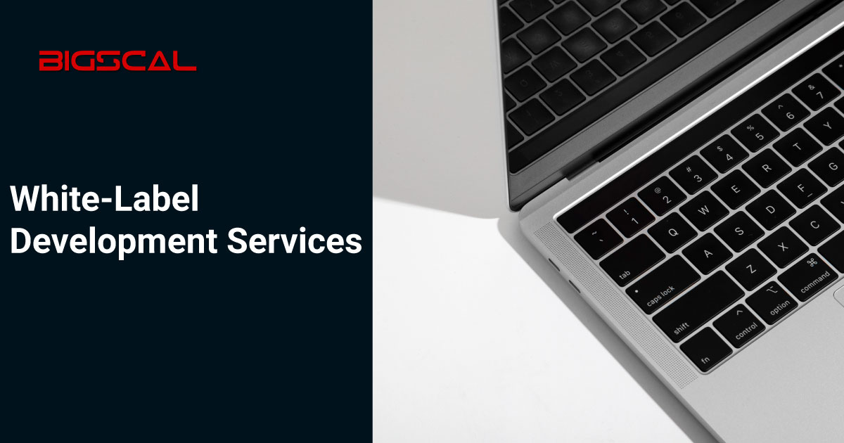 White Label Services | White Label Web Development - Bigscal