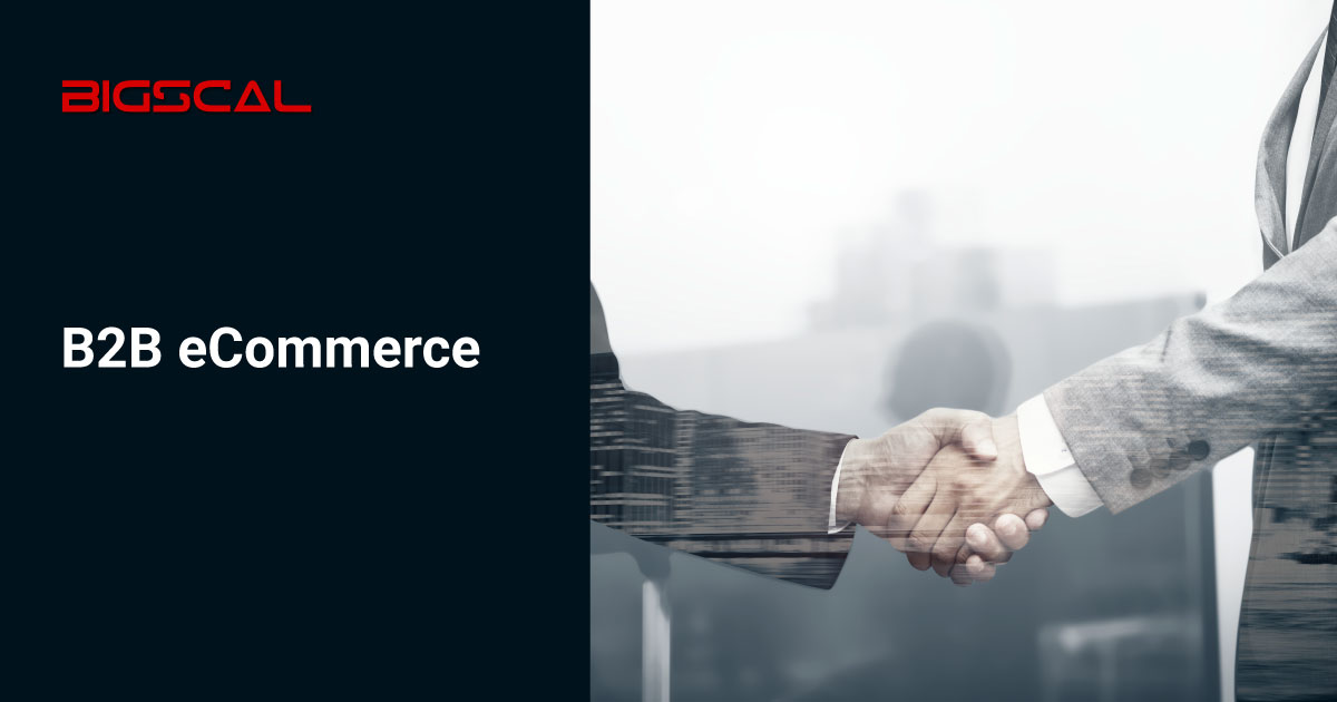 B2B eCommerce Solutions | B2B eCommerce Company