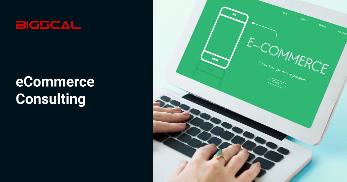 eCommerce Consulting Services | eCommerce consultation eCommerce Consulting Services | eCommerce consultation