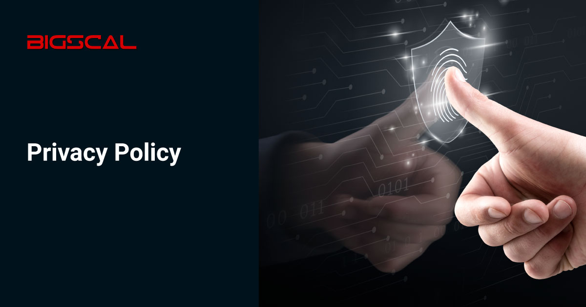 Your Privacy Matters: Exploring Our Privacy Policy | Bigscal