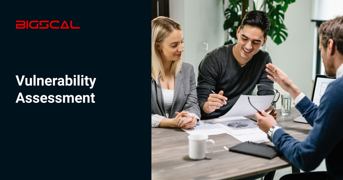 Vulnerability Assessment Solutions | Bigscal