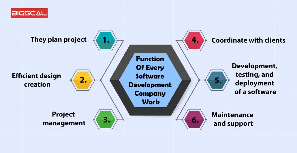 Software Development Companies: For Every Need in 2024